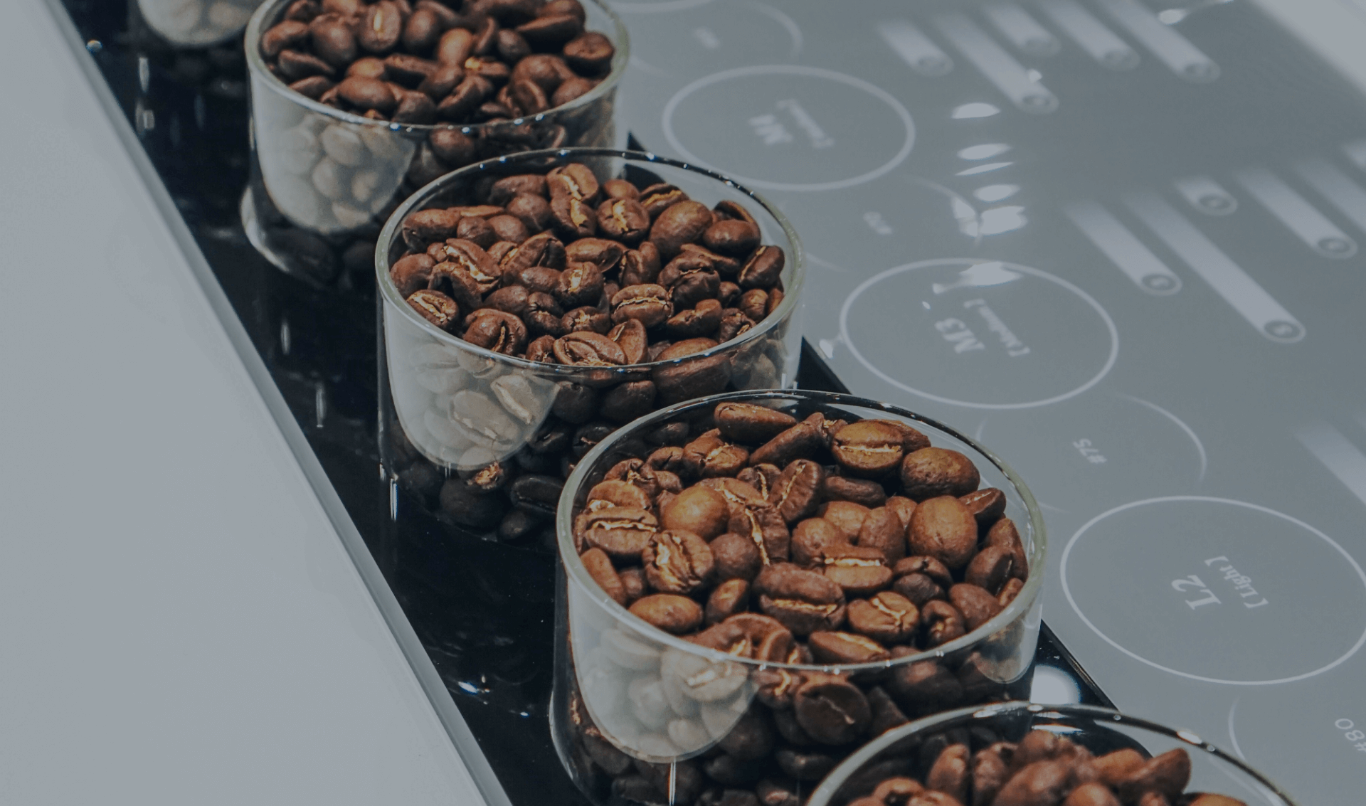 All – Muldoon's Coffee